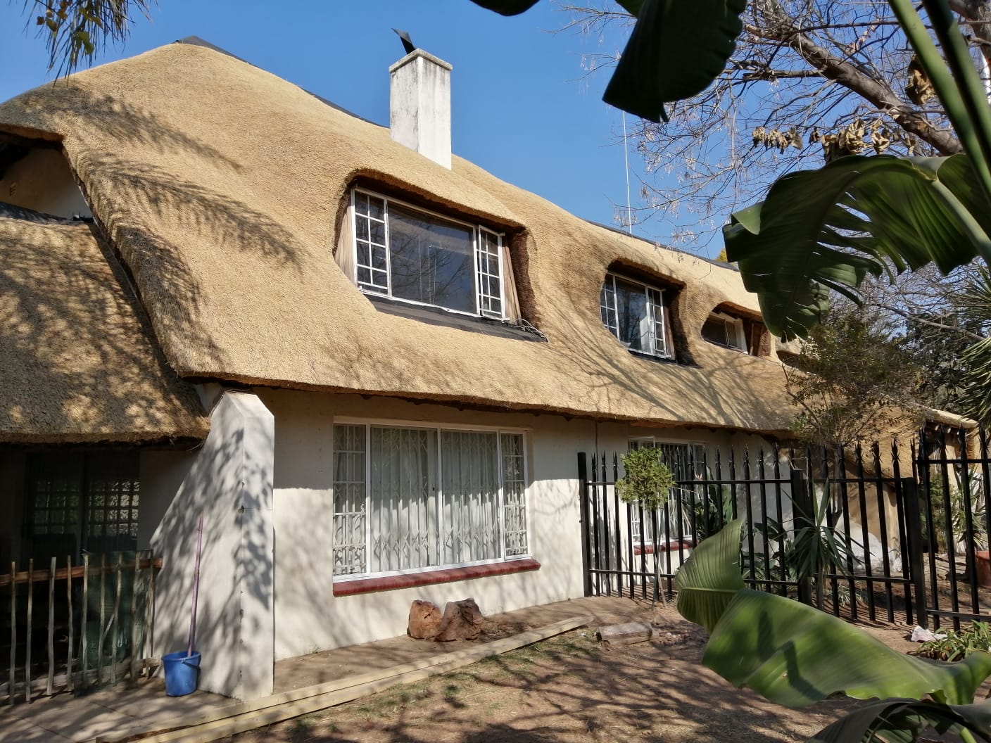 interthatch – High-Quality Thatching